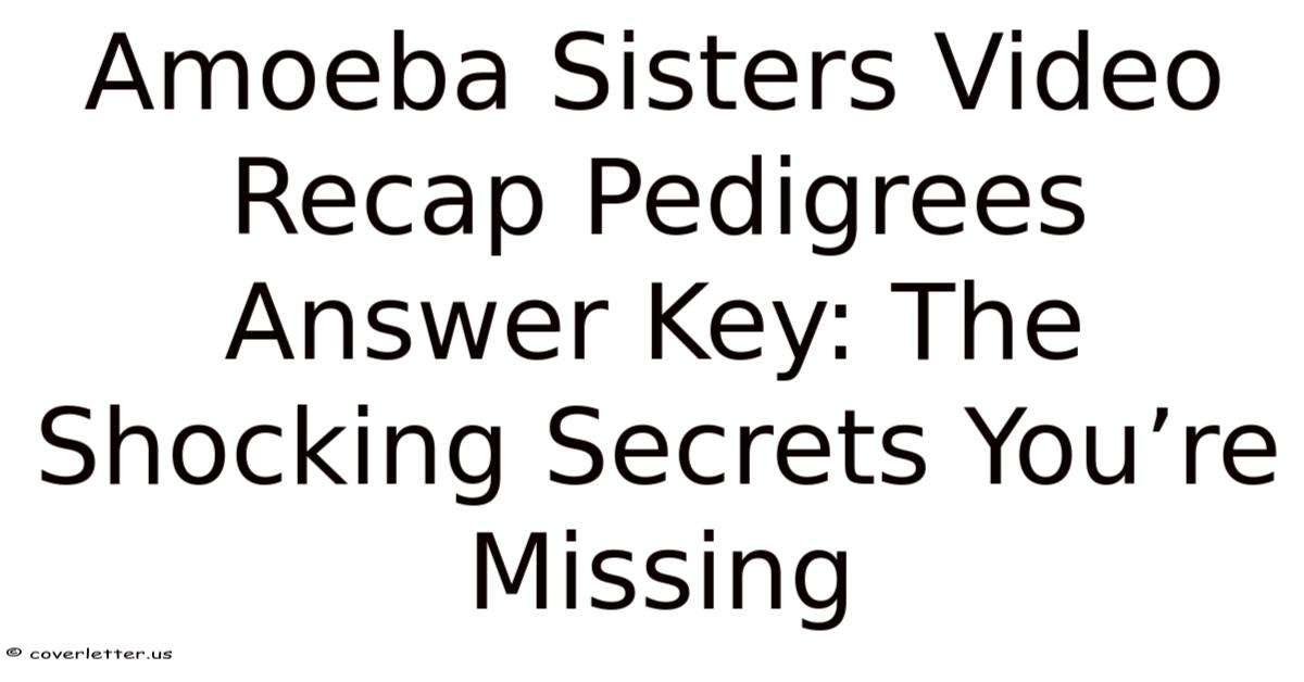 Amoeba Sisters Video Recap Pedigrees Answer Key: The Shocking Secrets ...