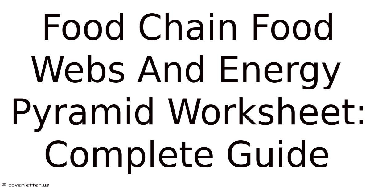 Food Chain Food Webs And Energy Pyramid Worksheet: Complete Guide