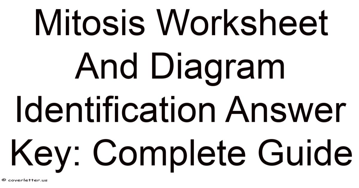 Mitosis Worksheet And Diagram Identification Answer Key: Complete Guide