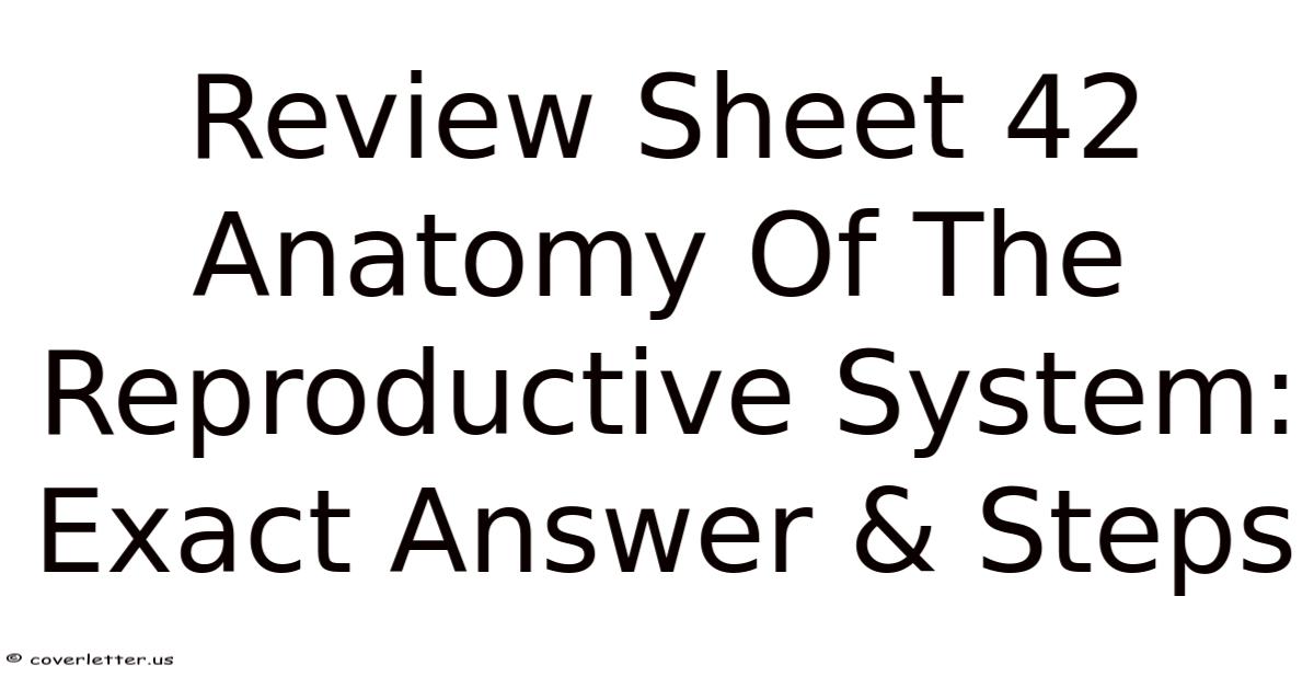 Review Sheet 42 Anatomy Of The Reproductive System: Exact Answer & Steps