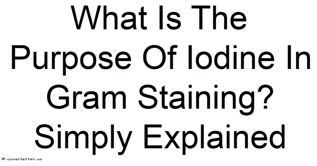 What Is The Purpose Of Iodine In Gram Staining? Simply Explained